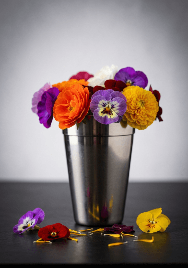 Elevate Your Drinks: The Ultimate Guide to Edible Flowers for Cocktails